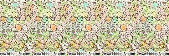 Butterfly : Stereogram Images, Games, Video and Software. All Free!